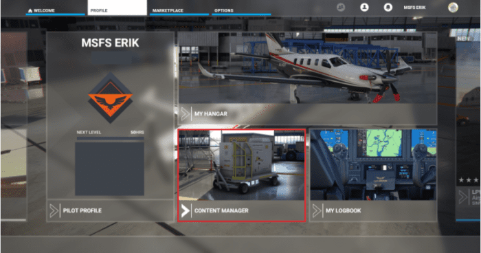 How to Fix DLC Content Bug in Microsoft Flight Simulator