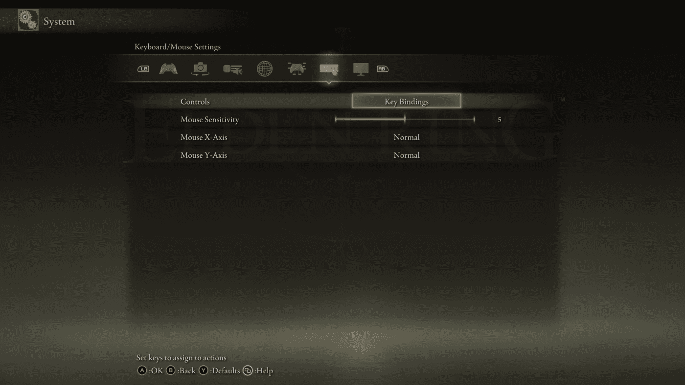 The Best Elden Ring PC Settings: Camera, Sound, Graphics, Controls